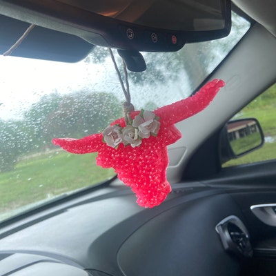 SNACK PACK BUNDLE 4-pack Car Diffusers - Etsy