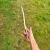 Natural Magic Wand Made of Sumac Wood Vinegar (rhus Typhina) the Wood ...