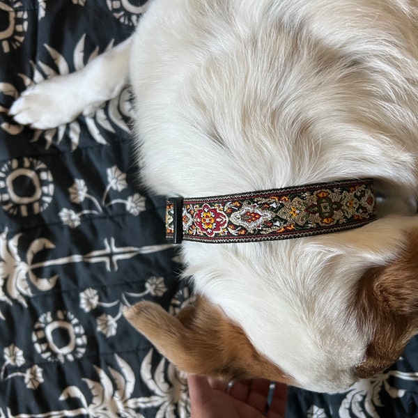 Adorable Turkey Dog Collar, Checkered, Fall, Seasonal, Thanksgiving, 1 ...
