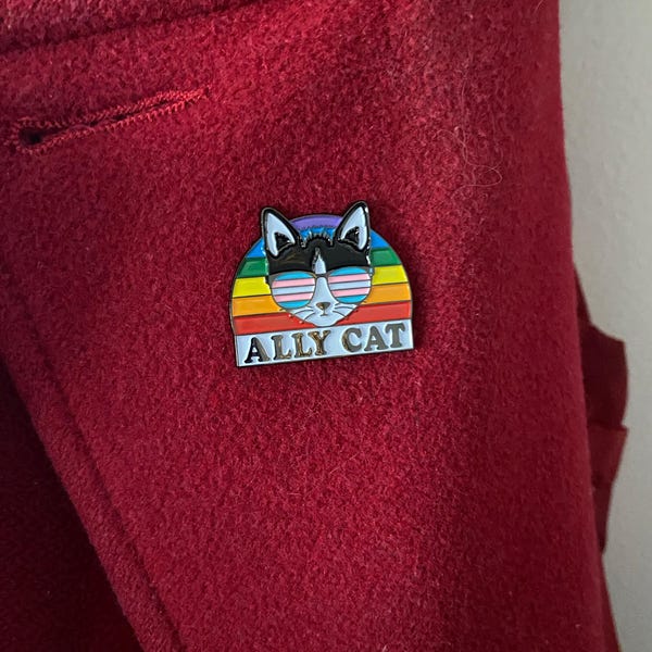 Transgender Pride Noodle Cute Enamel Pin in Trans LGBT Pride Flag ...