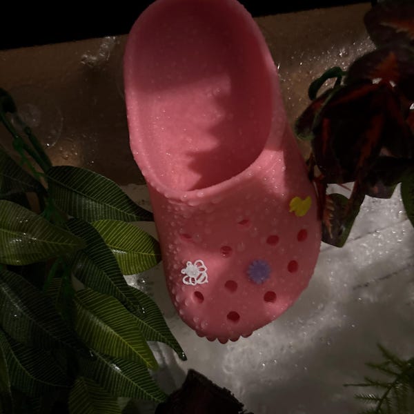 Pink Princess Philodendron Ledge for 0.5oz Deli Cup | Crested Gecko ...