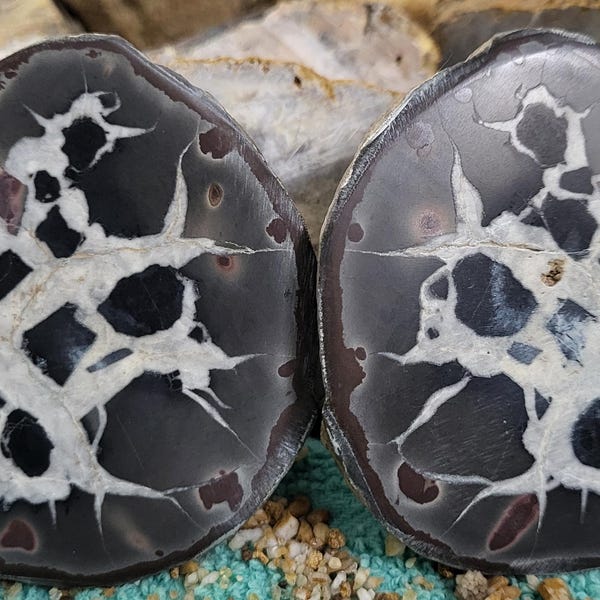 THUNDER EGG Pair Polished Large Geode Agate Creek, Queensland ...