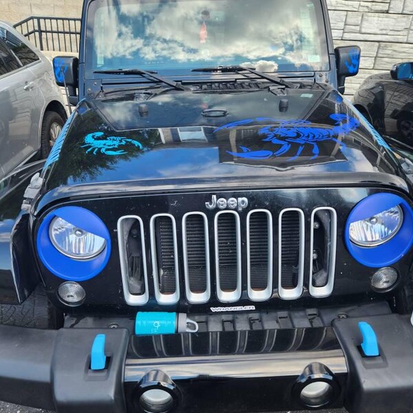 Many Designs - ONE (1) Car Window Sticker Back Window Design Auto Vinyl ...