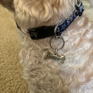 Personalized Fish Dog Tag ID for Collar Tag With Stamped Front - Etsy