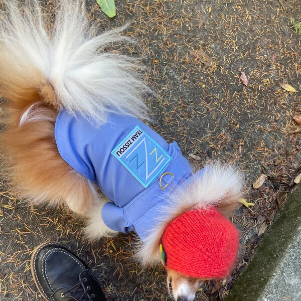 Lumberjack Dog Shirt Sewing Pattern Sm/med – PDF DIY Flannel Outfit for ...