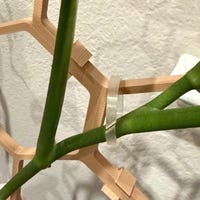 Propagation Pins - Moss Pole Pins - Allow a Little More Flair to Your ...