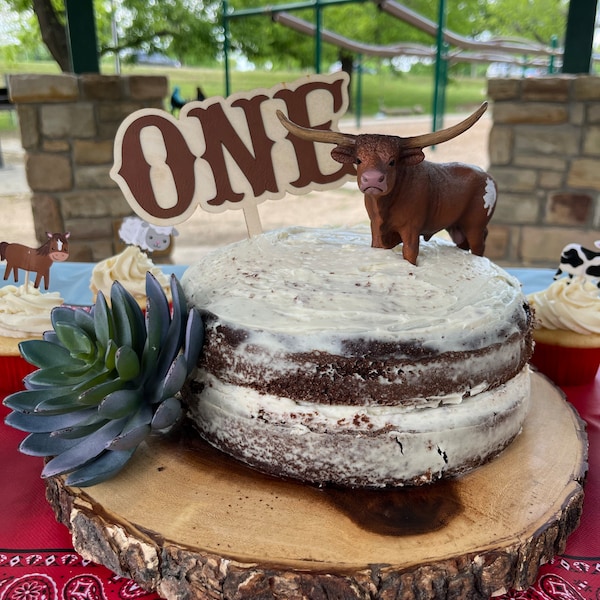 My First Rodeo, First Rodeo Cake Topper, Western First Birthday, Cowboy ...