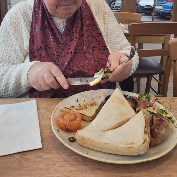 Dignified Adult Bib, Napkin at Your Neck, Stain Resistant, Machine ...