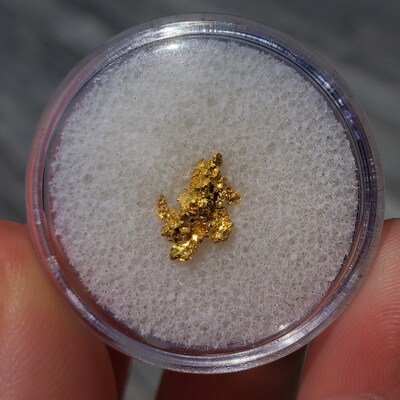 Spinel Twinned Dendritic Native Gold Crystals on Quartz Exceptionally ...