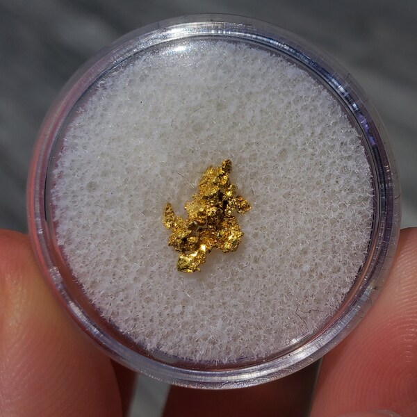 Chunkey Dense Gold Crystal High Purity Solid Natural Gold - Northern ...