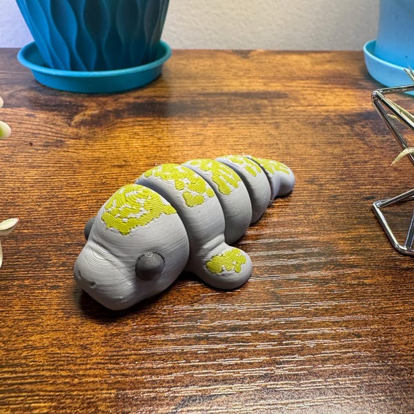 Flexi Chicken - Articulated Chicken Fidget Designed by Zou3d - Etsy