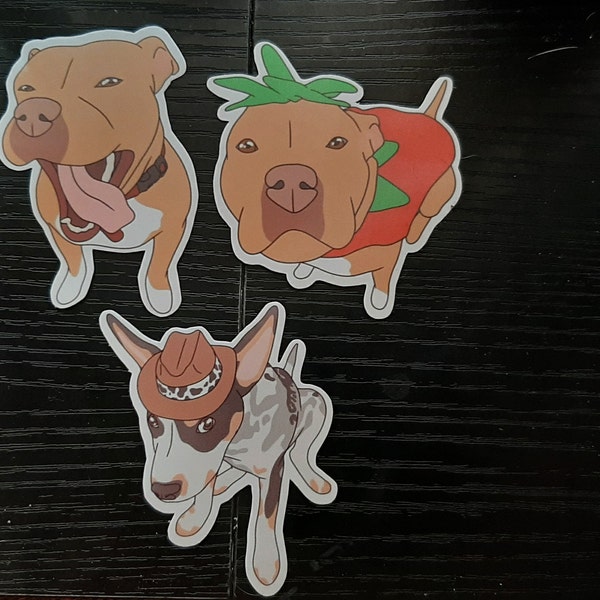 Macbeth Sticker Set, Vinyl, Die Cut, Water Resistant, Laptop, Egg, Fair ...