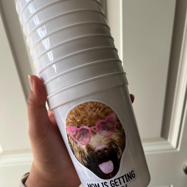 Bridal Wedding Veil Last Rodeo Bachelorette Bridal Shower Gift ...