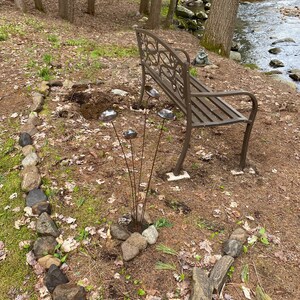 Mitten Tree/hat and Glove Drying Rack/christmas/gifts/entry | Etsy