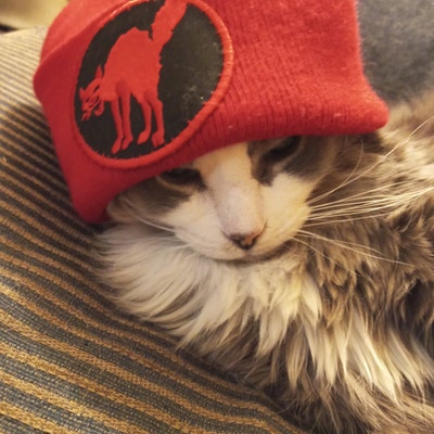 Sabo-tabby IWW, Socialist, Anarchist, Leftist Patch - Etsy