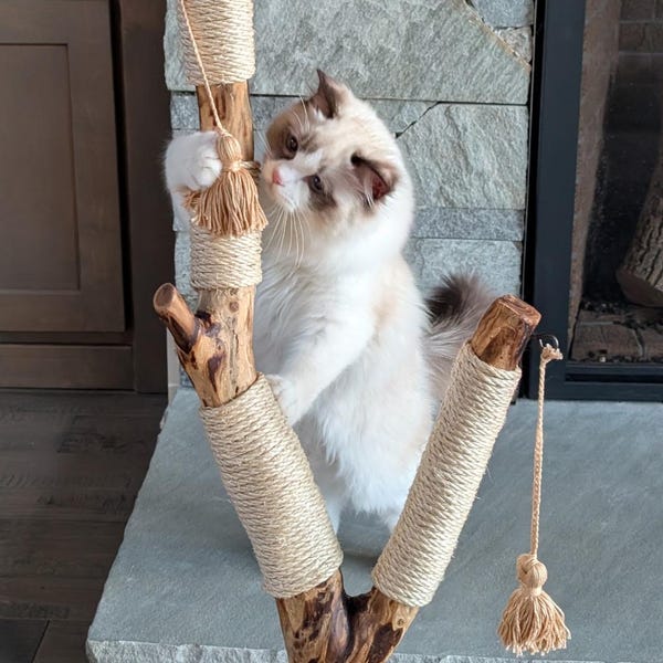 Unique Scratching Post, Cat Climbing Tree With Toys, Solid Wood ...