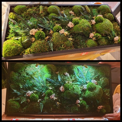 Beautiful Preserved Moss Artwork With LED Lights Live Moss LED Wall Art ...