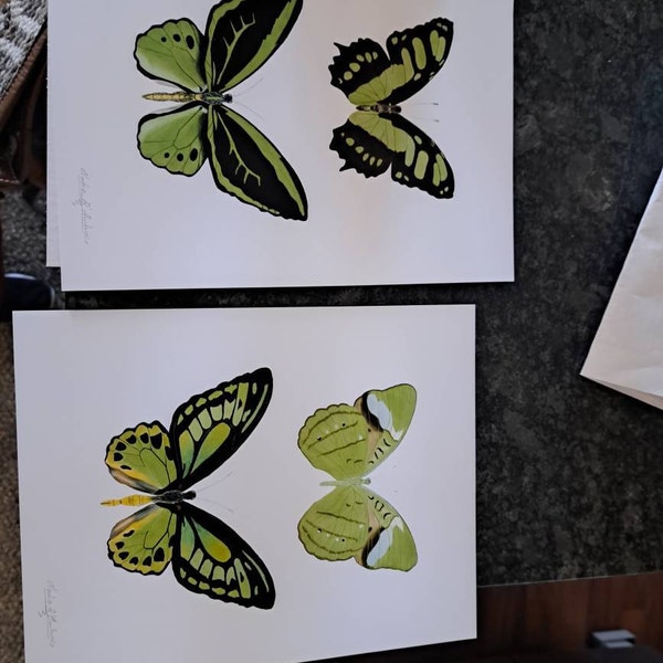 Green Butterfly Print Set of 2 Dark Green Wall Art Watercolor Butterfly ...