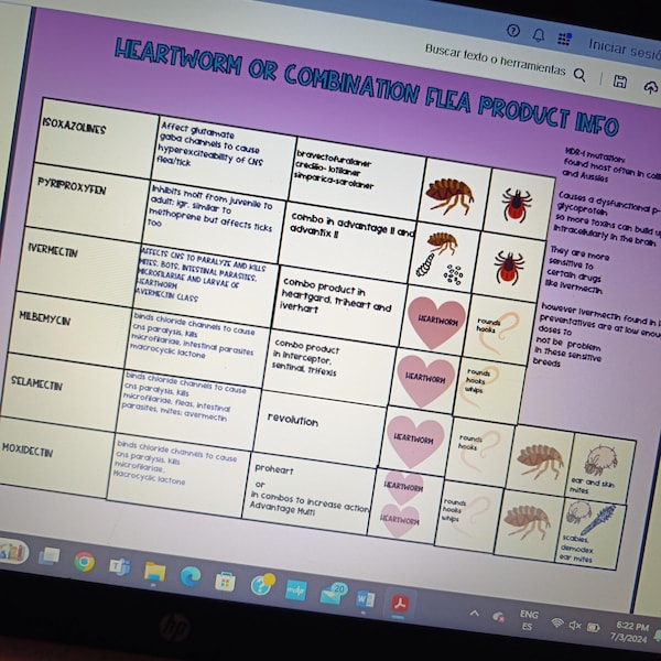 Vet Med Acronym Suffix Prefix Veterinary Cheat Sheet Vet Tech Notes ...