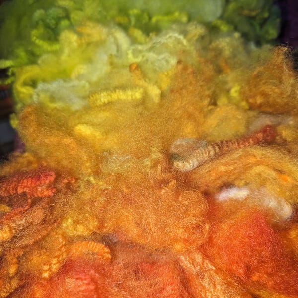 Raw Wool Lincoln Longwools Natural Colored - Etsy UK