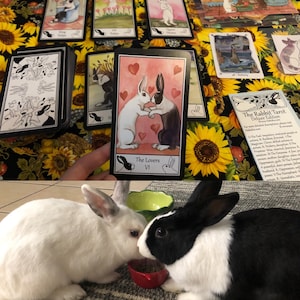The Rabbit Tarot Deluxe Version Animal Art Card Deck - Etsy