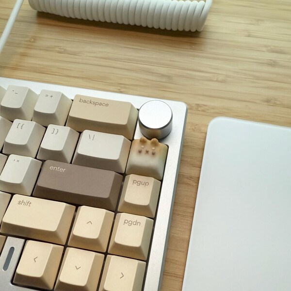 Melonpan Bear Keycap | Bo Lo Bao Keycap |icecream Bear Keycap| Bear ...