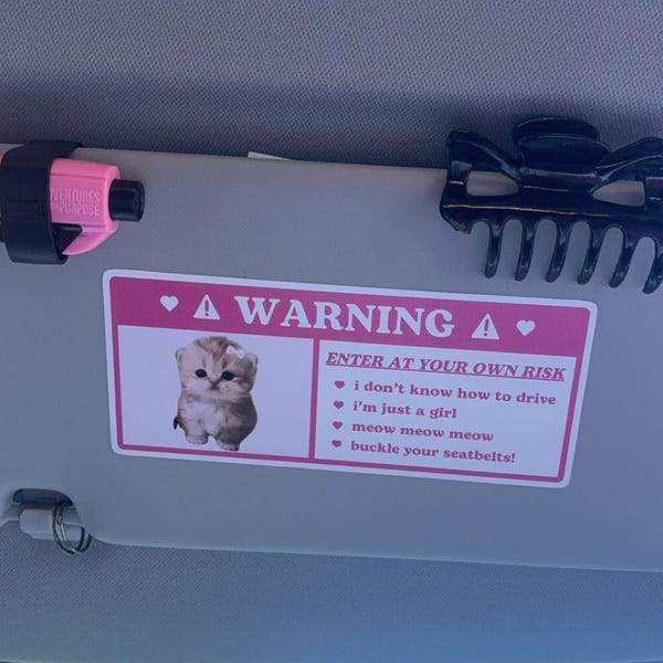 Cute Cat Car Warning Sticker | Pink Coquette Kitty Kawaii Girl Airbag ...