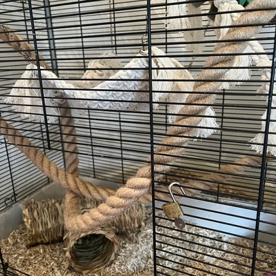 Rat Macrame Treat Pouch Foraging Toy - Etsy