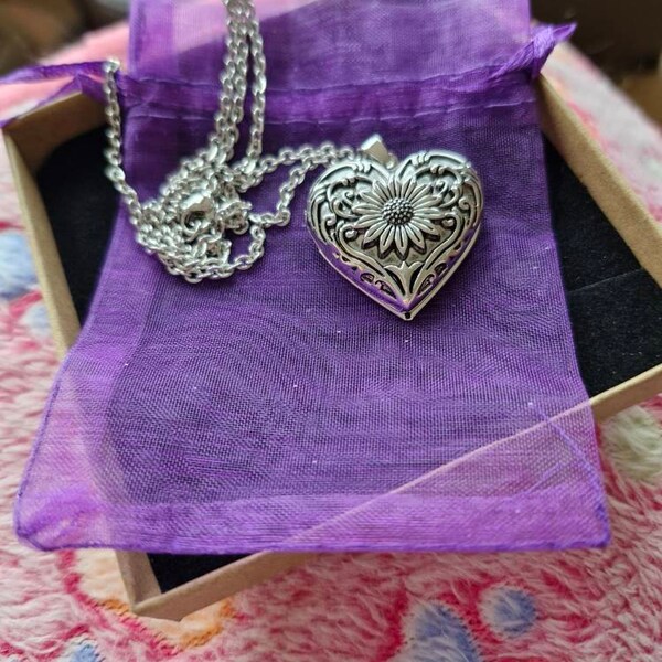 Cremation Art Stone/pebble Urn for Rock Painting, Cremation Memorial ...