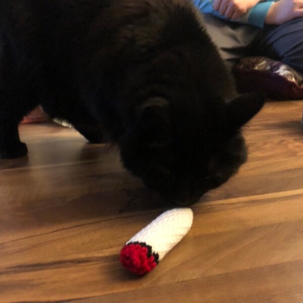 Crochet Catnip Cat Toy – Acrylic Yarn Kitty Joint, Cat Blunt - Etsy