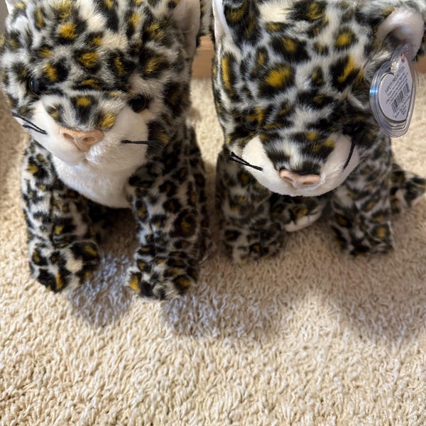 Ty Beanie Boo “tauri” the Calico Cat (6 Inch) - Etsy