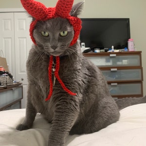 Devil Hat for Cats - Etsy