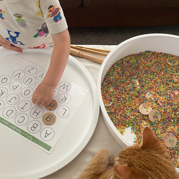 Alphabet Pictures Sensory Play Kit | Alphabet Matching Game | Sensory ...