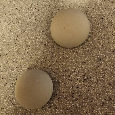 Minimalist Concrete Magnets. Modern Half Moon Fridge Magnets. - Etsy