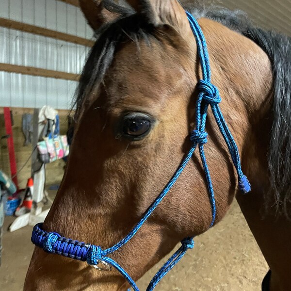 Custom Sidepull Rope Halter With Braided Noseband, Bitless Bridle, Rope ...