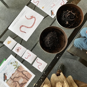 Solar System Unit Study - Etsy