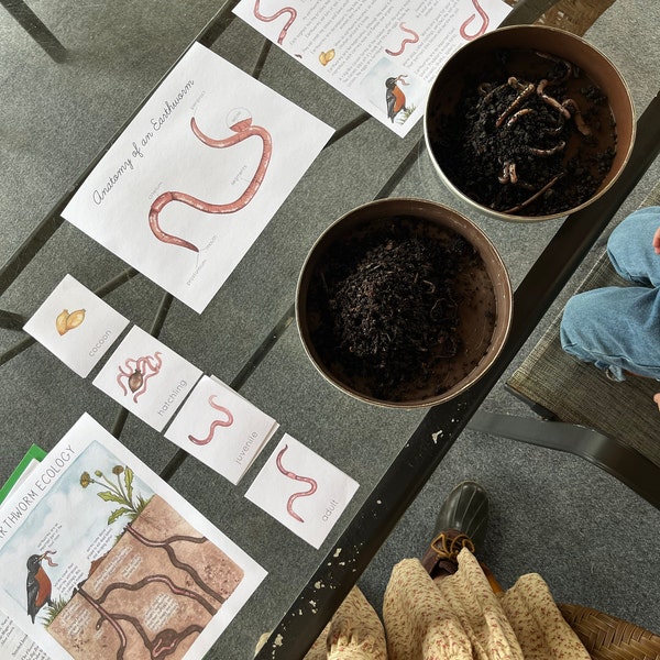 George Washington Carver and Peanut Unit Study - Etsy