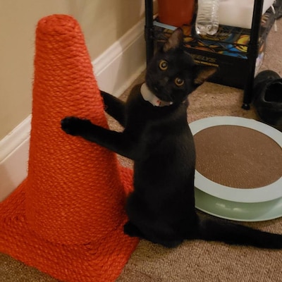 Cone Cat Scratching Post - Etsy