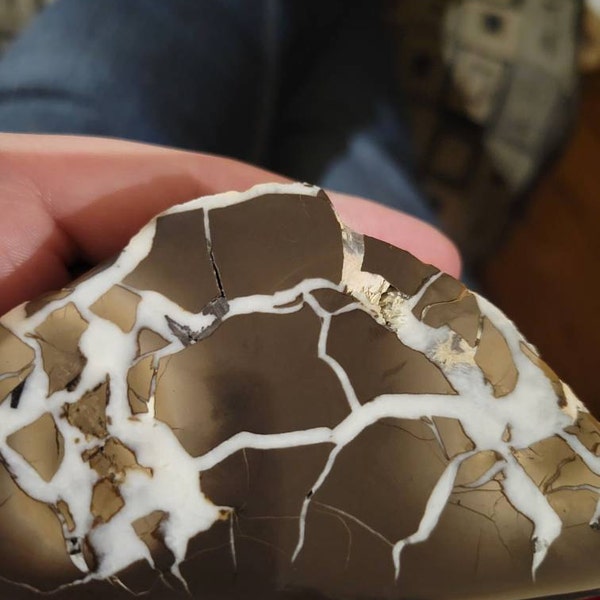 I LICK ROCKS Sticker Funny Rock Stickers Agate Dad - Etsy