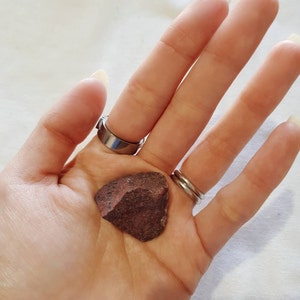 Rare Jackal Horn Gidar Singhi Black Magic Powerful Talisman | Etsy