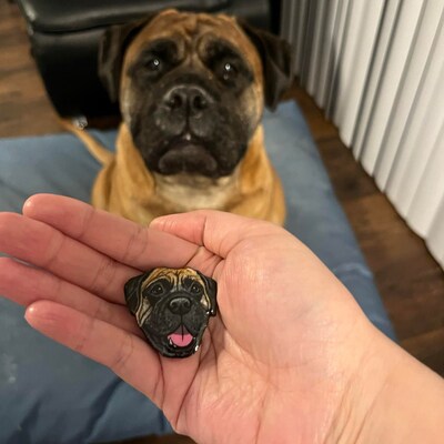 Custom Pet Pin dogs, Cats, Horses, Birds, Etc - Etsy