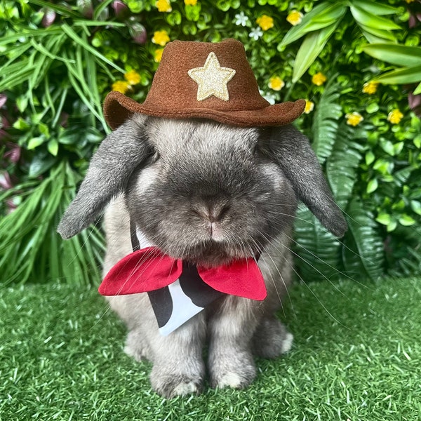 Cowboy Hat for Pet Bunny Rabbit and Other Small Pets - Etsy