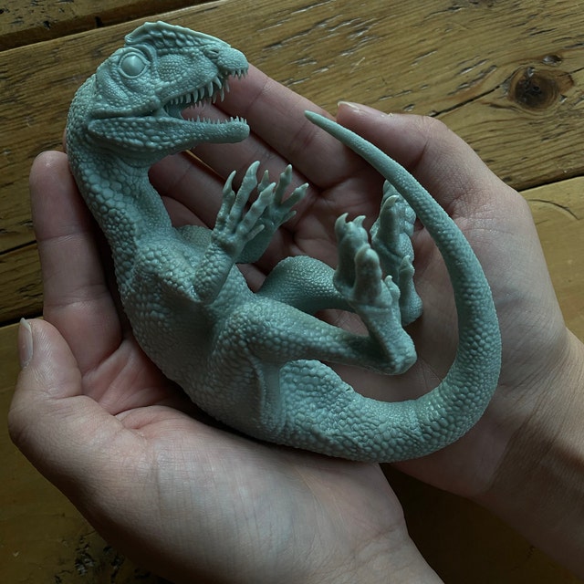 Kayakasaurus - Etsy Australia