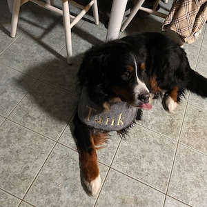 Big Dog Slobber Drool/slobber Bibs 2 Designs - Etsy