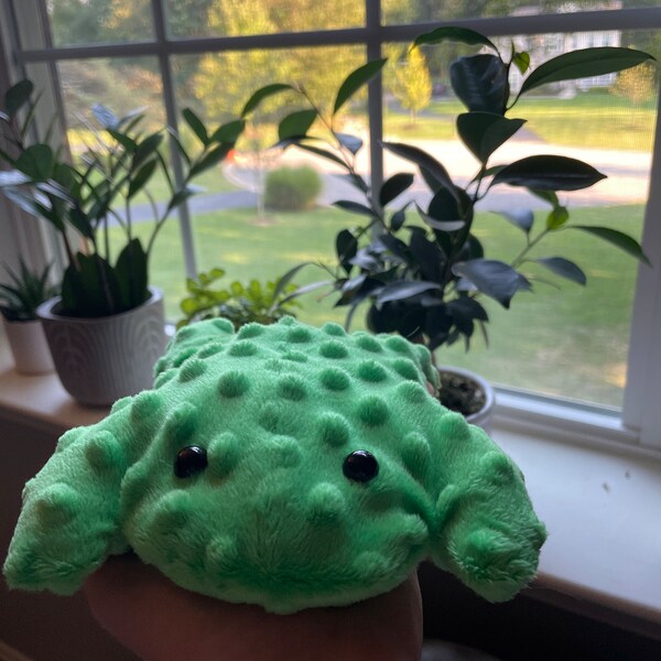 Rice Filled Green Toad Handmade Plush - Etsy