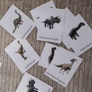 STAGES of HUMAN LIFE 22 Montessori Cards Flash Cards - Etsy