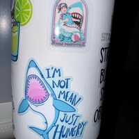 Hip Hop Dance Vinyl Sticker, Hip Hop Sticker, Dance Sticker, Performing ...