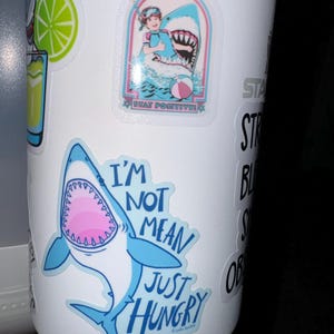 Sea Turtle Vinyl Sticker, Good Vibes Sticker, Happy, Cute Sticker ...