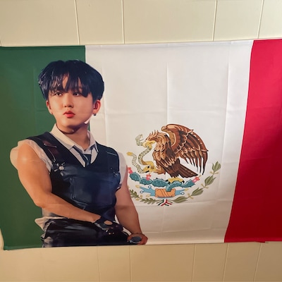 Stray Kids Bang Chan Flag Banner, SKZ Bang Chan Kpop American Flag ...