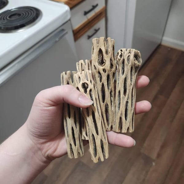 BUY 2 GET 1 FREE Cholla Wood Sticks Cholla Drift Wood Beautiful ...